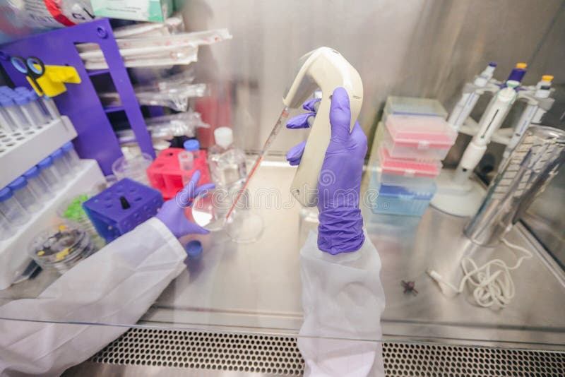 Scientist Hand Making Laboratory Research. Stock Image - Image of ...
