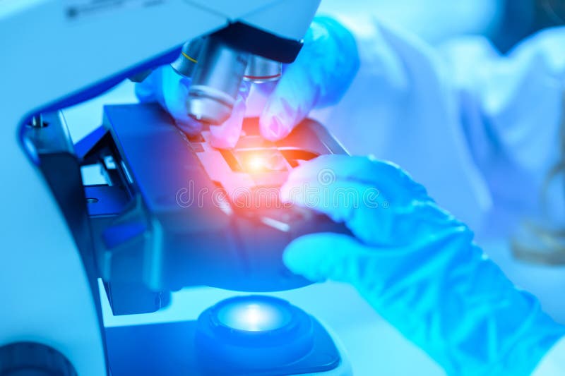 The Scientist Handed in Blue Gloves Looking Under a Microscope To ...