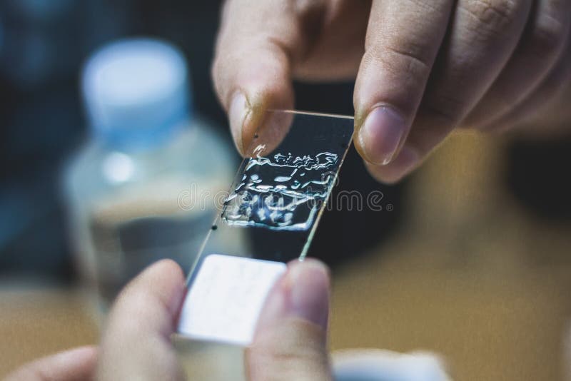 Microscope with Samples in Laboratory. Close Up of Examining of Test ...