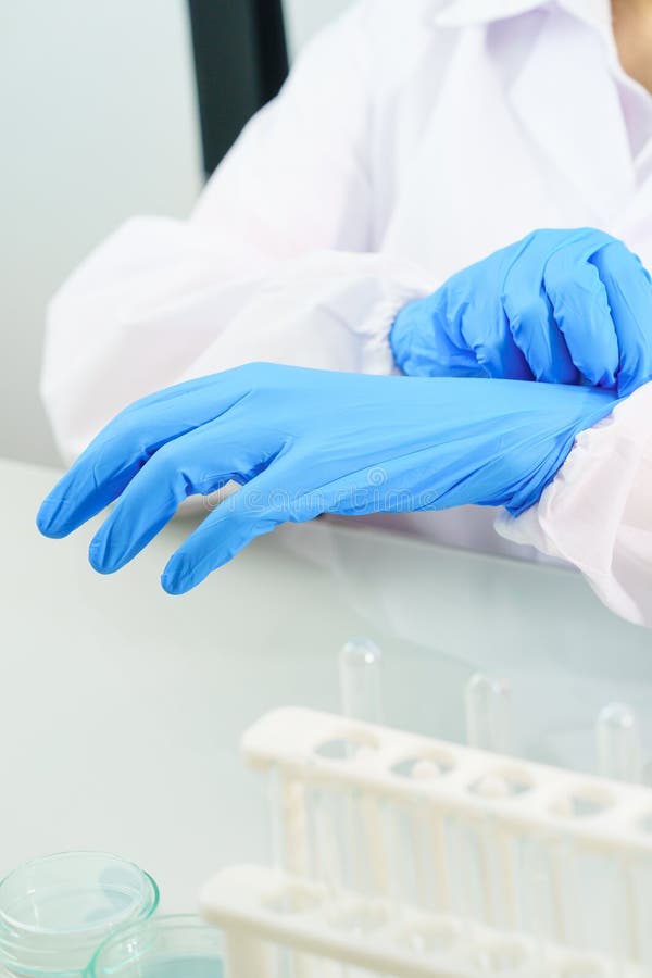 Scientist Hands Putting in Nitrile Blue Latex Gloves in Labcoat Wearing ...