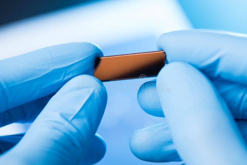 Scientist Hold in Hand Small Tile of New Type Efficient Solar Cell Tile ... Scientist Hold in Hand Small Tile of New Type Efficient Solar Cell Tile ...