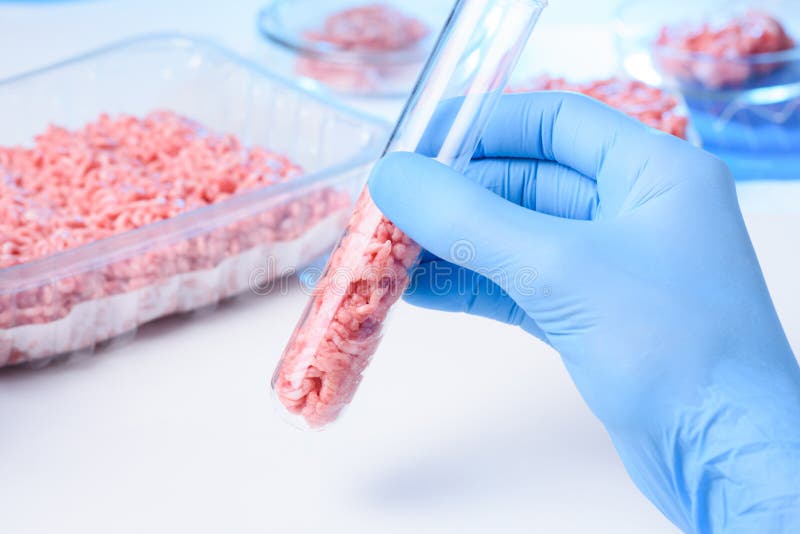 Scientist Hold Meat Sample in Lab Test Tube Stock Image - Image of ...