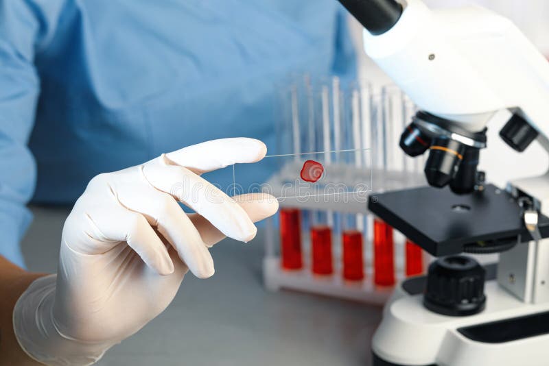 Scientist Holding Microscope Slide with Red Sample in Laboratory ...