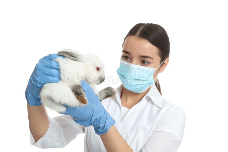 Scientist Holding Rabbit on White Background. Animal Testing Concept ...
