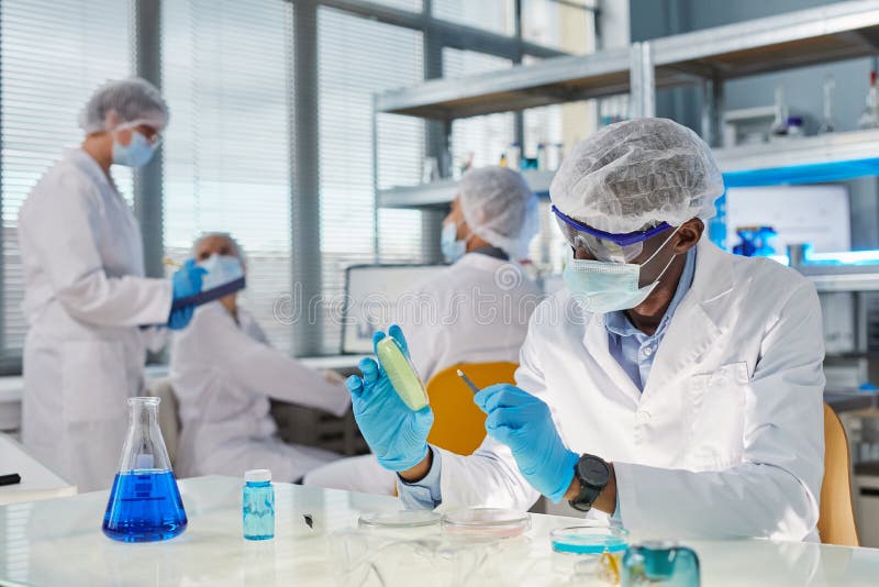 Scientist Holding Scientific Experiment in the Lab Stock Image - Image ...