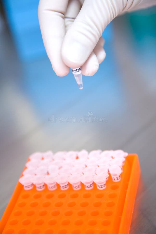 Scientist Holding a Small Tube Stock Photo - Image of biotechnology ...