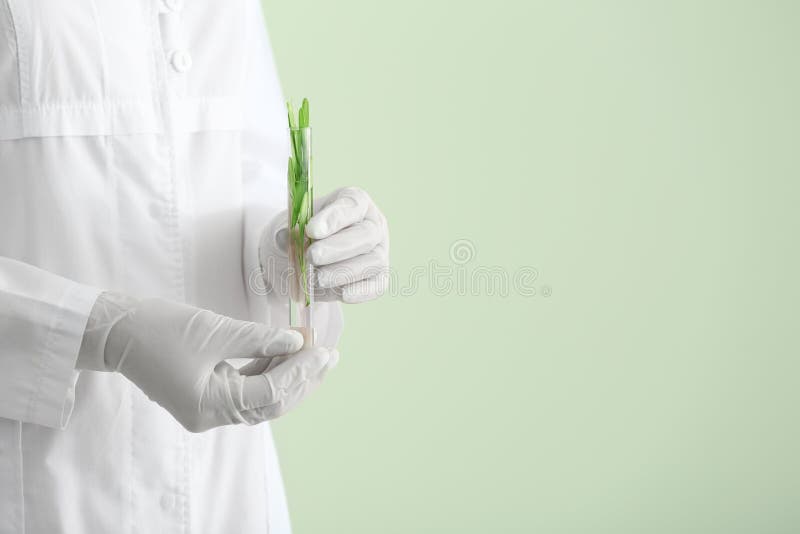 Scientist Holding Test Tube with Plant on Color Background Stock Photo ...