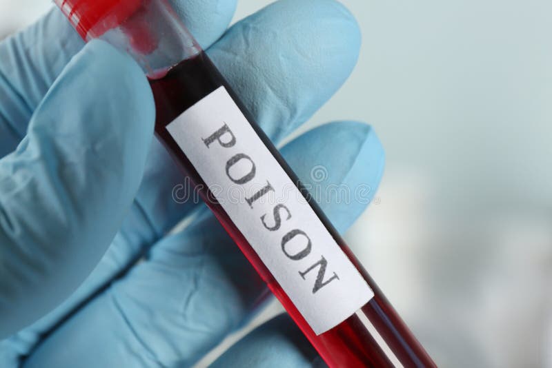 Scientist Holding Test Tube with Wheat Seeds Stock Image - Image of ...