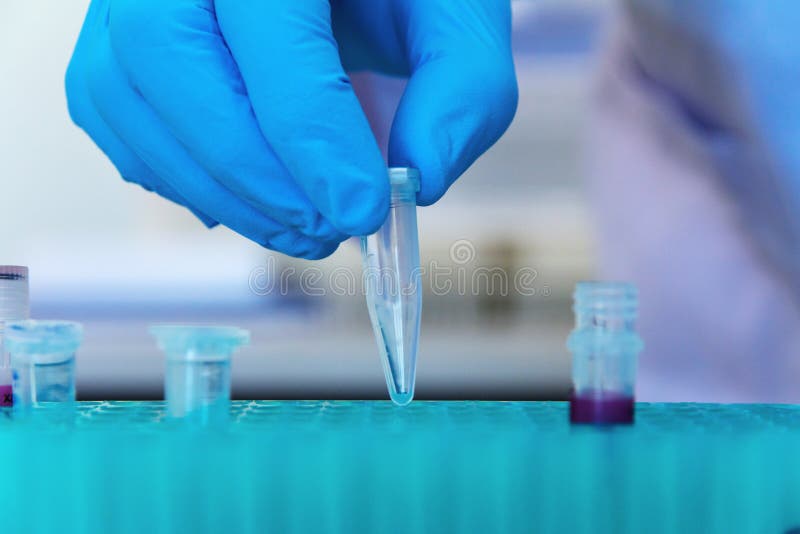 Biotech lab hands stock photo. Image of instrument, clinical - 4449362