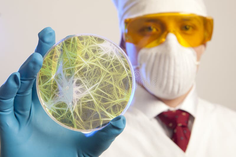 Scientist Holding Virus Cells Stock Image - Image of cells, concept ...