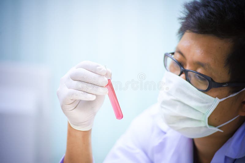 Scientist Holds and Examine Samples in Laboratory Stock Photo - Image ...