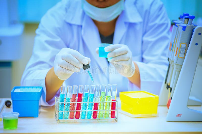 Scientist Holds and Examine Samples in Laboratory Stock Image - Image ...
