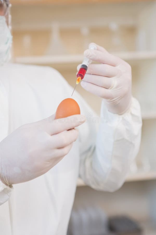 Scientist injecting egg stock photo. Image of technology - 53087514
