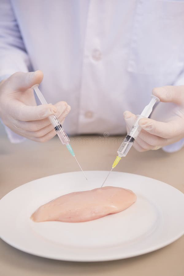 Injecting GMO chicken meat stock image. Image of fillet - 13691233