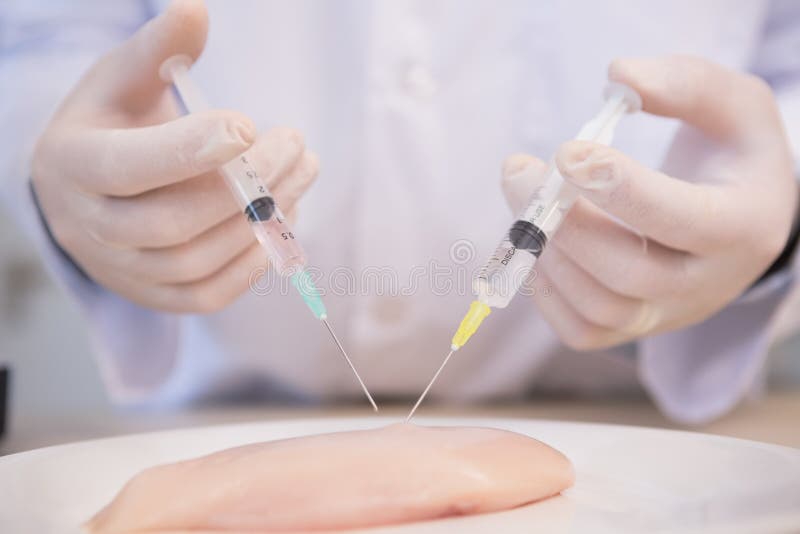 Injecting GMO chicken meat stock image. Image of fillet - 13691233