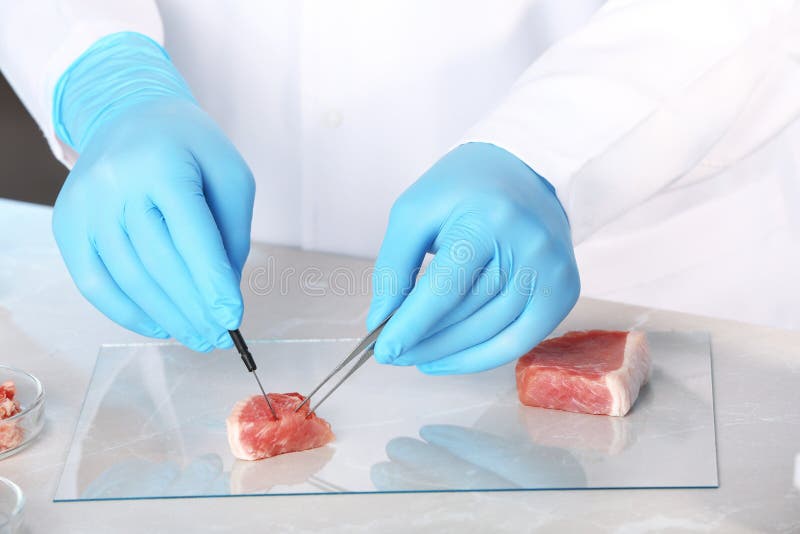 Scientist Inspecting Meat Sample in Laboratory, Closeup Stock Image ...