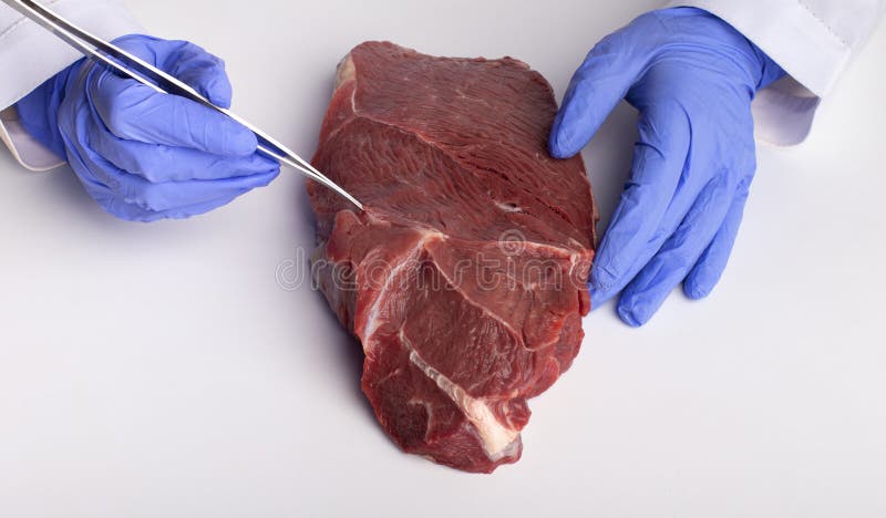 Scientist Inspecting Meat Sample in Laboratory, Closeup Stock Image ...