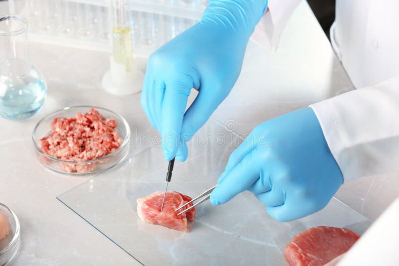 Scientist Inspecting Meat Sample on Table Stock Image - Image of hand ...