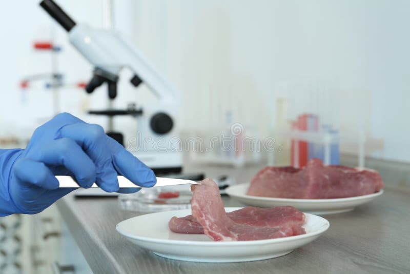 Scientist Inspecting Meat at Table in Laboratory, Closeup. Food Quality ...