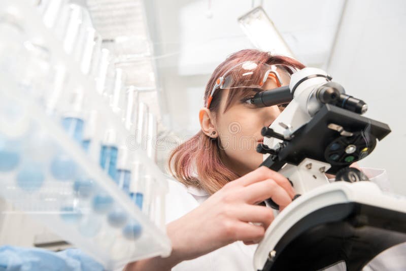 Scientist in Lab Coat Looking through Microscope in Laboratory Stock ...
