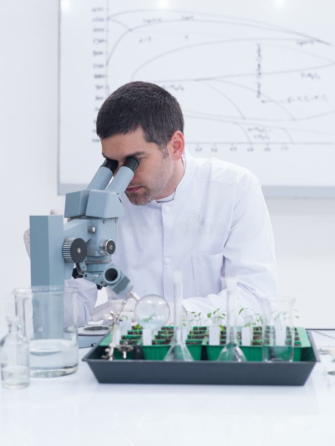 People Studying in a Chemistry Lab Stock Photo - Image of glass ...