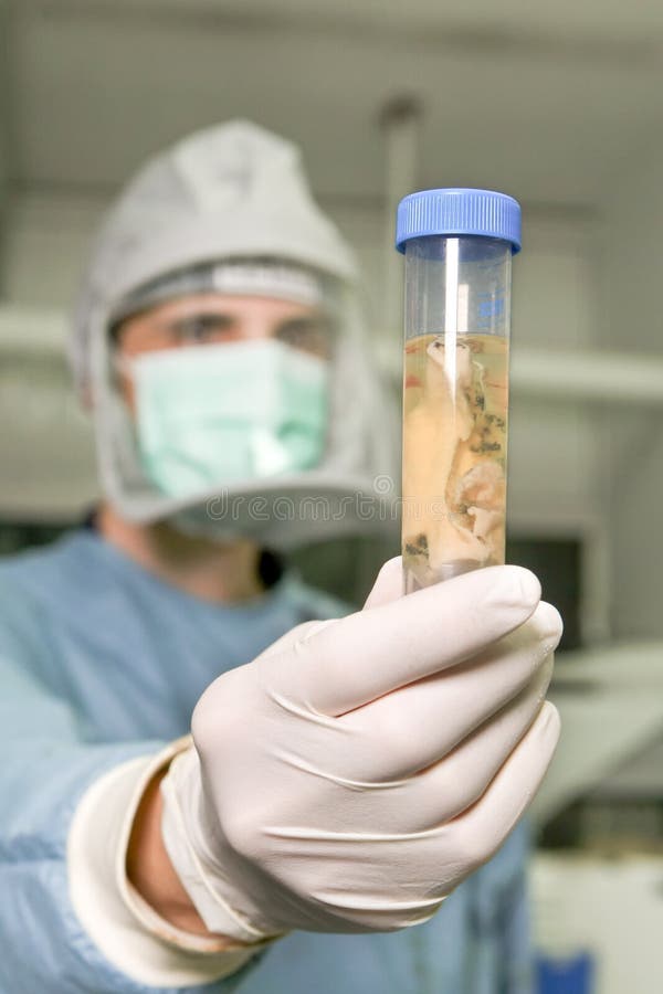 Laboratory Tests, Contamination Stock Image - Image of biology ...
