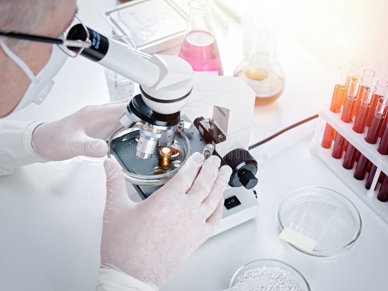 Scientist or Laboratory Assistant Working with a Microscope Stock Image ...
