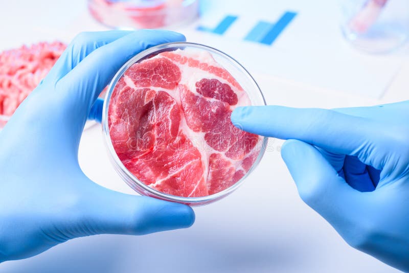 Scientist at Laboratory Pointing at Meat Sample Stock Image - Image of ...