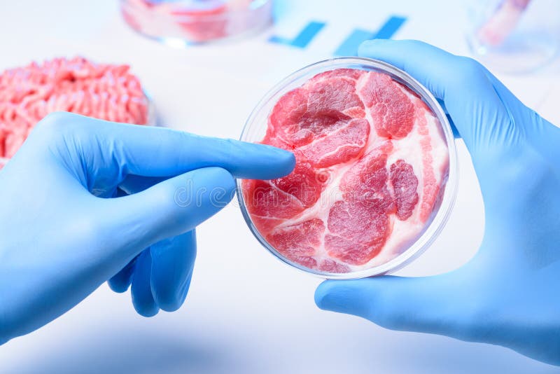 Scientist at Laboratory Pointing at Meat Sample Stock Photo - Image of ...