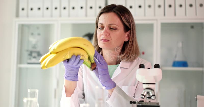 Scientist in Laboratory is Studying Bananas Closeup Stock Video - Video ...