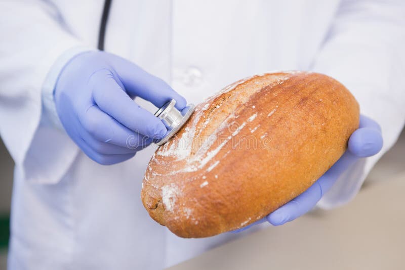 Scientist Listening To Bread Stock Photo - Image of holding, gloves ...