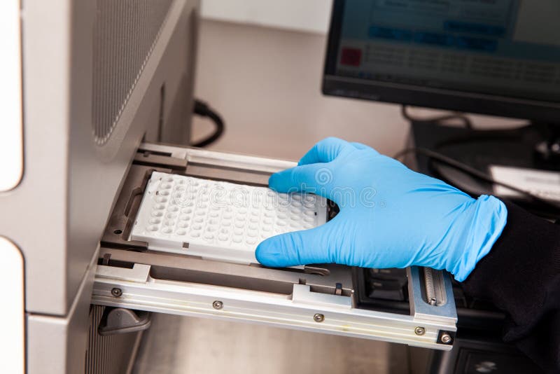 Scientist Loading Samples To a RT-PCR Thermal Cycler at the Laboratory ...