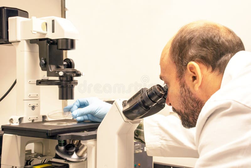 Scientist is Looking at Cells Under a Microscope Stock Photo - Image of ...