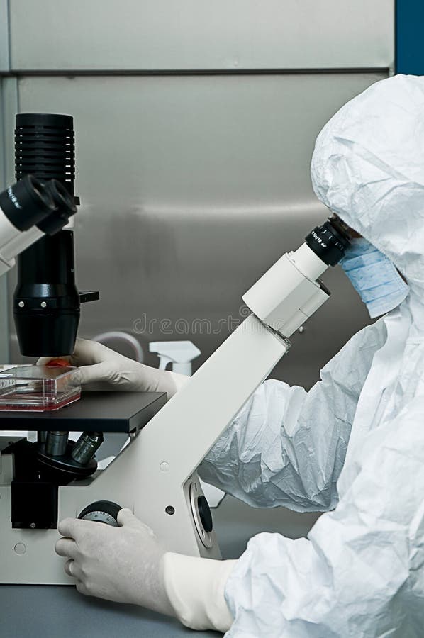 Scientist Looking Through Microscope Stock Photo - Image of microscope ...