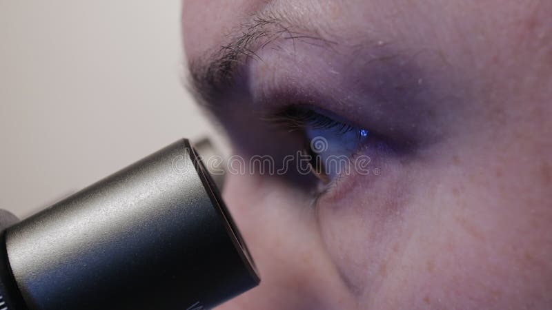 Scientist Looking into a Microscope in a Laboratory and Opening His ...