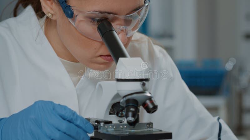 Scientist Looking through Microscopic Lens To Work on Experiment Stock ...
