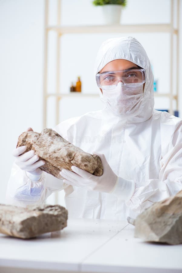 The Scientist Looking and Stone Samples in Lab Stock Photo - Image of ...