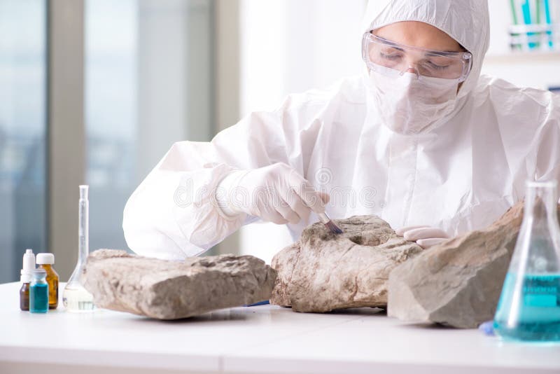 The Scientist Looking and Stone Samples in Lab Stock Photo - Image of ...