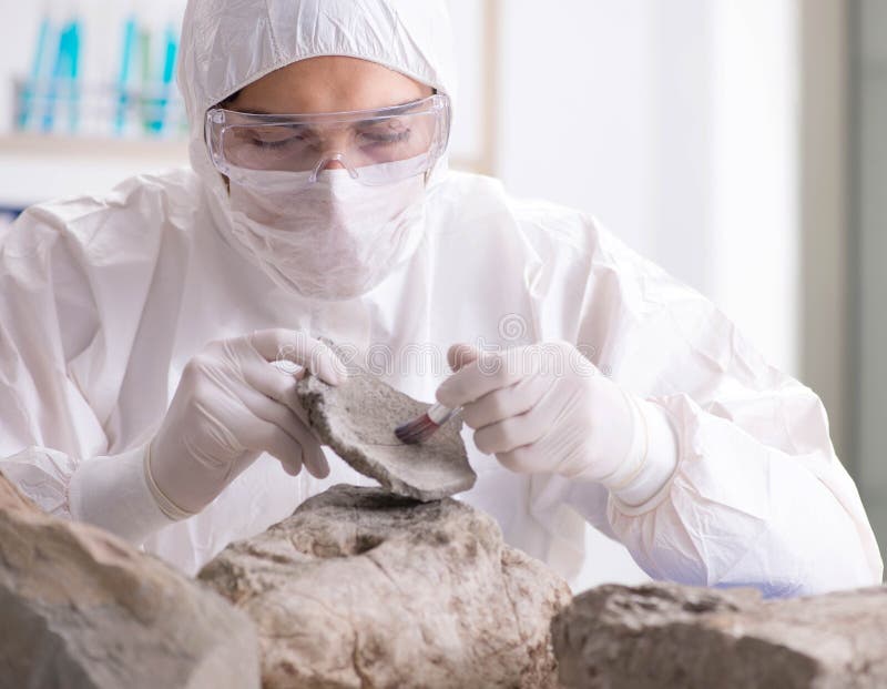 Scientist Looking and Stone Samples in Lab Stock Image - Image of ...