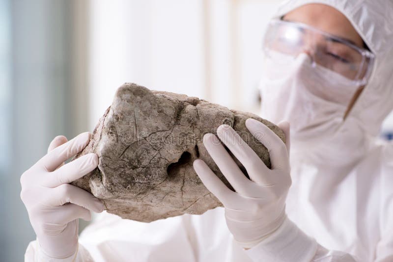 The Scientist Looking and Stone Samples in Lab Stock Image - Image of ...