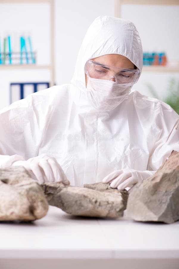 The Scientist Looking and Stone Samples in Lab Stock Image - Image of ...