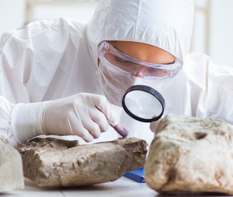 Scientist Looking and Stone Samples in Lab Stock Image - Image of ...