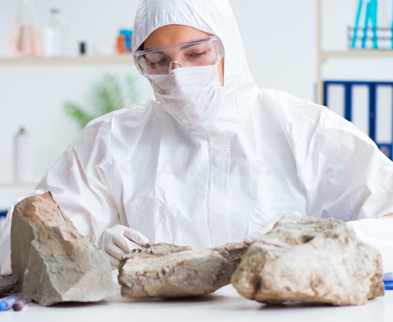 Scientist Looking and Stone Samples in Lab Stock Image - Image of ...