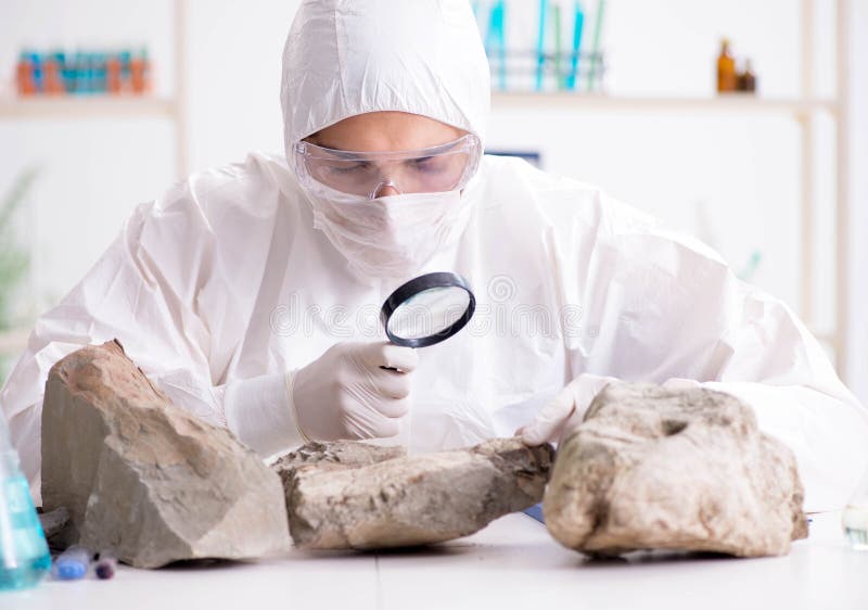 Scientist Looking and Stone Samples in Lab Stock Image - Image of ...