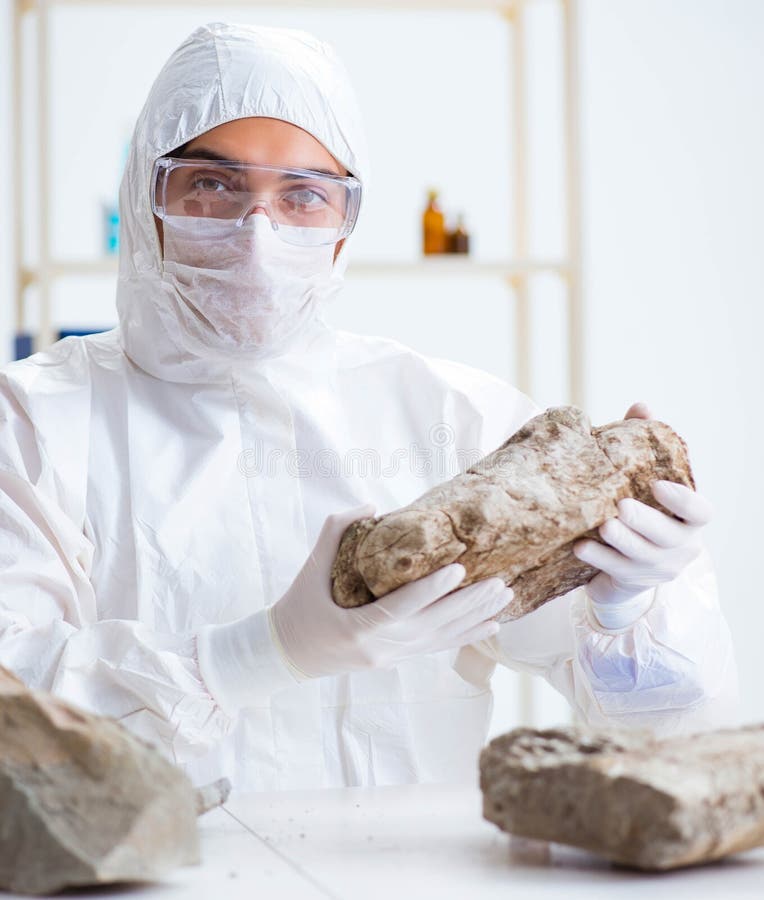 Scientist Looking and Stone Samples in Lab Stock Photo - Image of ...
