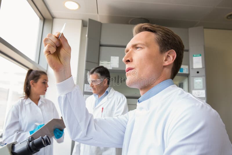 Scientist Looking at Test Slide Stock Image - Image of woman, people ...