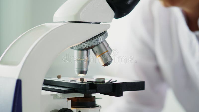Scientist Looks through Microscope Examining Material in Lab Stock ...