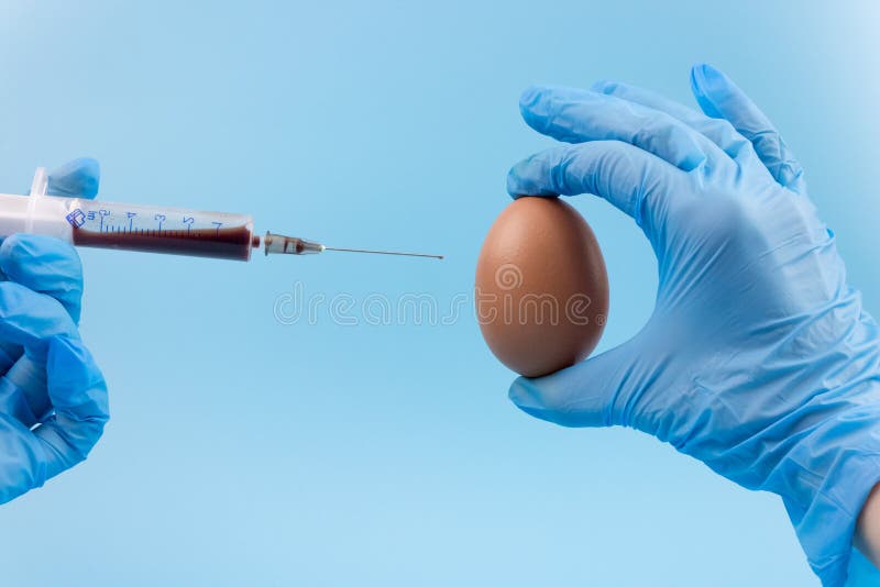 213 Chicken Egg Injection Stock Photos - Free & Royalty-Free Stock ...
