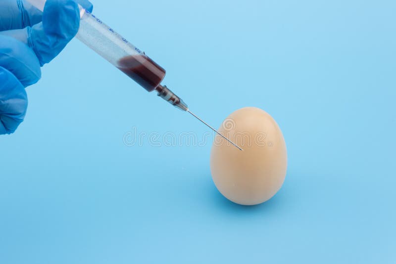 The Scientist Makes an Injection with a Syringe into the Egg Stock ...