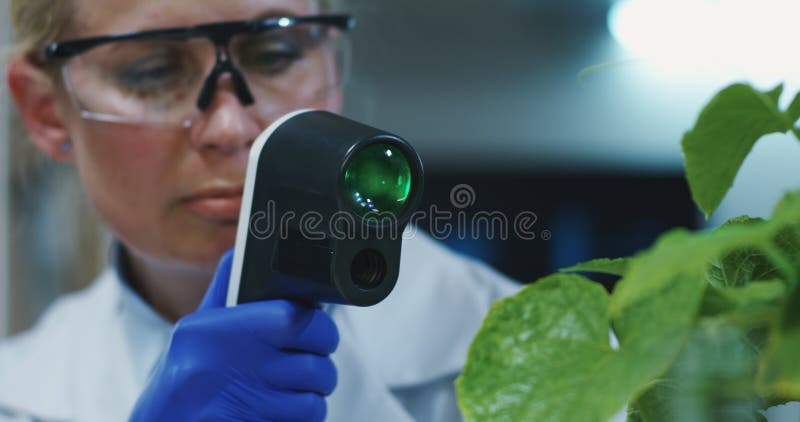 Scientist Measuring Liquid Temperature with Thermometer Stock Photo ...
